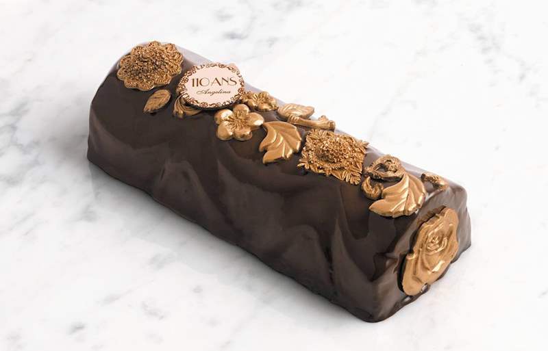 Laura Loesch's Instagram, Twitter & Facebook on IDCrawl