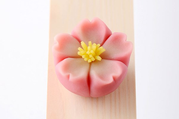 Namagashi | Traditional Dessert From Japan
