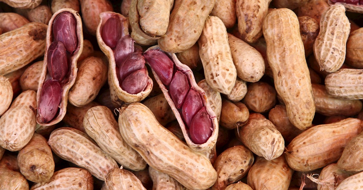 8 Worst Rated Southern American Snacks - TasteAtlas