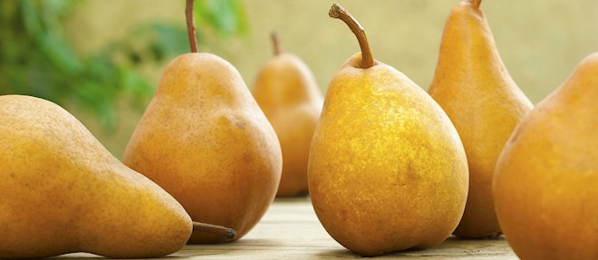 European Pears: 15 Pear Types in Europe | TasteAtlas
