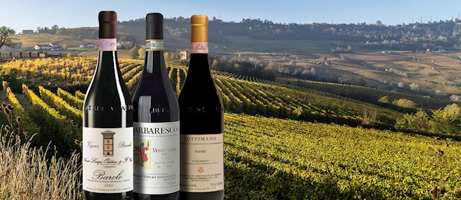 Italian Red Wines: 138 Red Wine Types in Italy | TasteAtlas