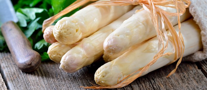 Stalk Vegetables of the World: 23 Stalk Vegetable Types | TasteAtlas