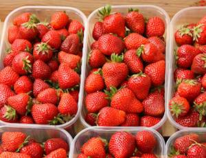 Local Food in Gard | Gard Food Map | TasteAtlas