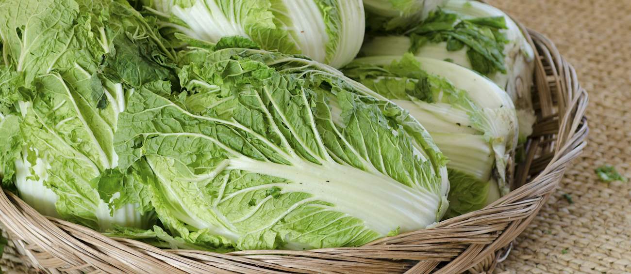 Chinese Cabbage | Local Cabbage From Jiangsu, China