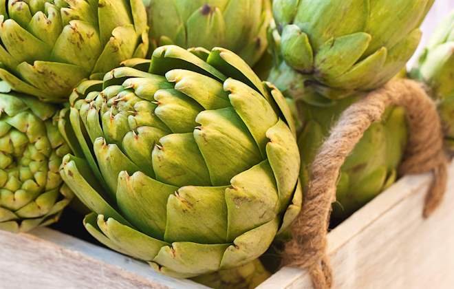 Spanish Vegetables: 25 Vegetable Types in Spain | TasteAtlas