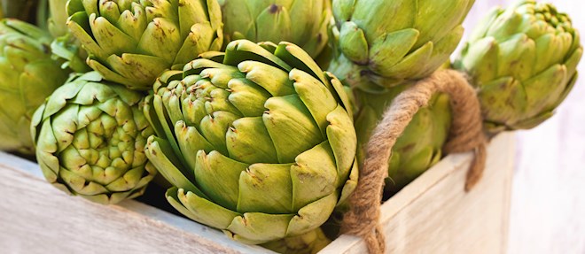 Inflorescent Vegetables of the World: 7 Inflorescent Vegetable Types ...