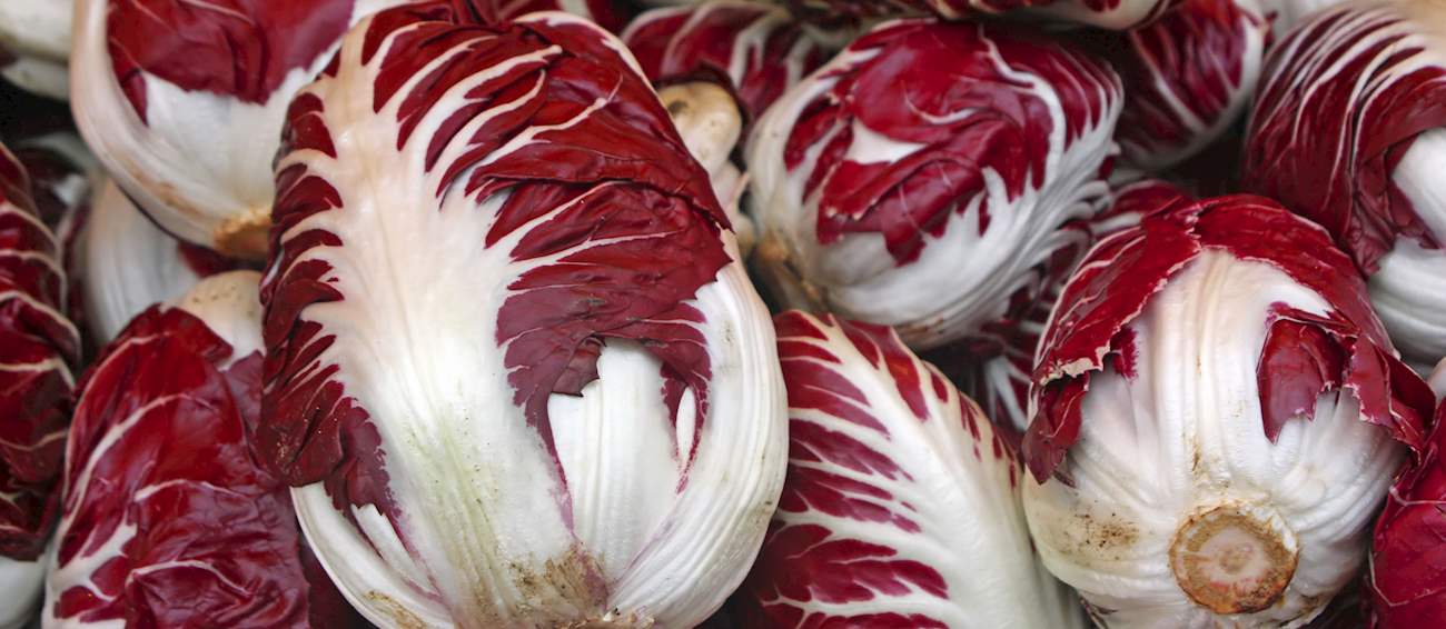 Radicchio di Chioggia | Local Radicchio From Metropolitan City of ...