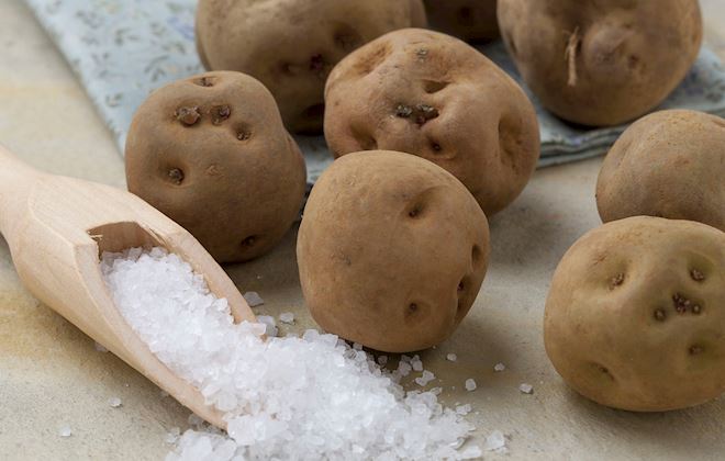 Spanish Vegetables: 25 Vegetable Types in Spain | TasteAtlas