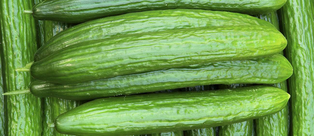 3 Best Fruit Vegetables in Central Europe - TasteAtlas