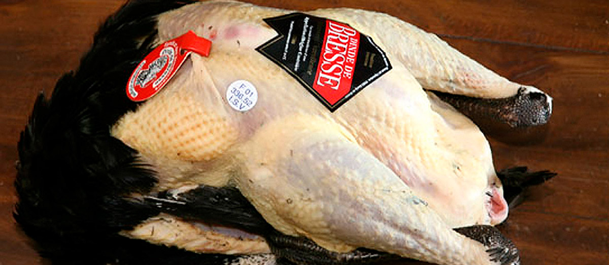 Dinde de Bresse | Local Turkey From Rhône-Alpes, France | TasteAtlas