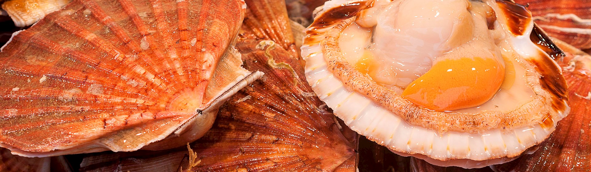 12 Best Shellfishes in Western Europe - TasteAtlas
