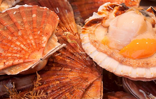 Shellfish of the World: 47 Shellfish Types | TasteAtlas
