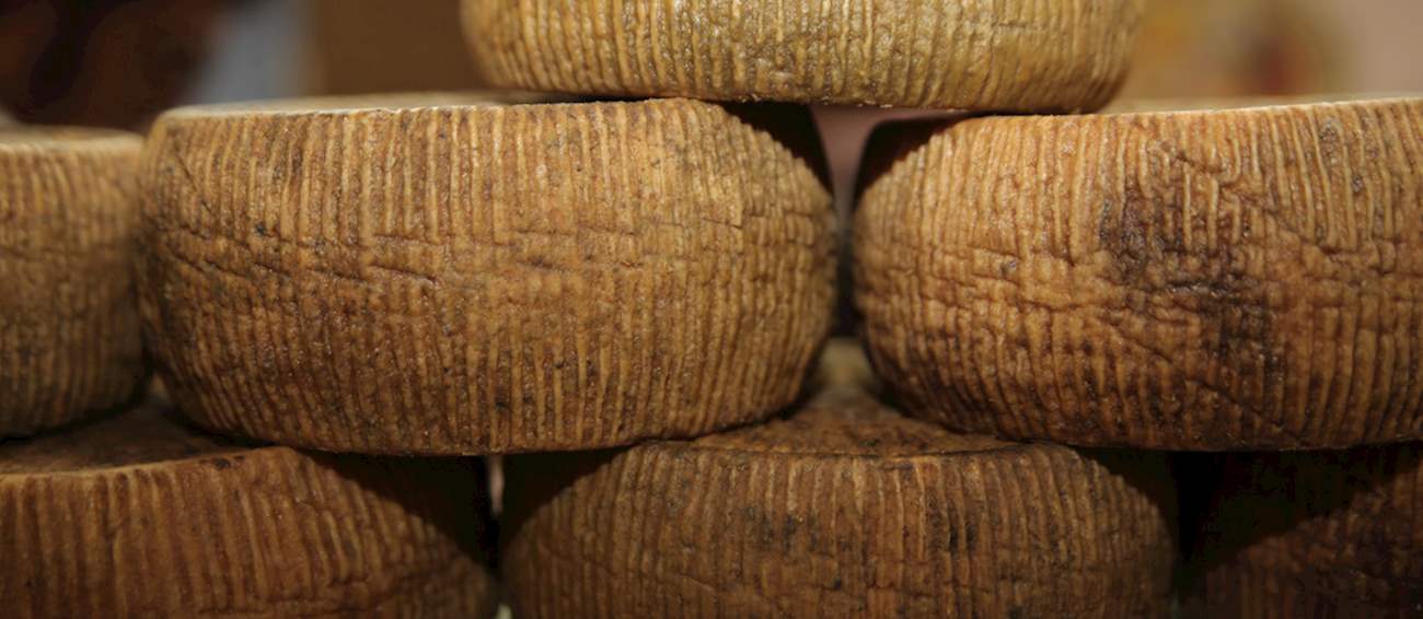 Canestrato Pugliese | Local Cheese From Metropolitan City of Bari, Italy