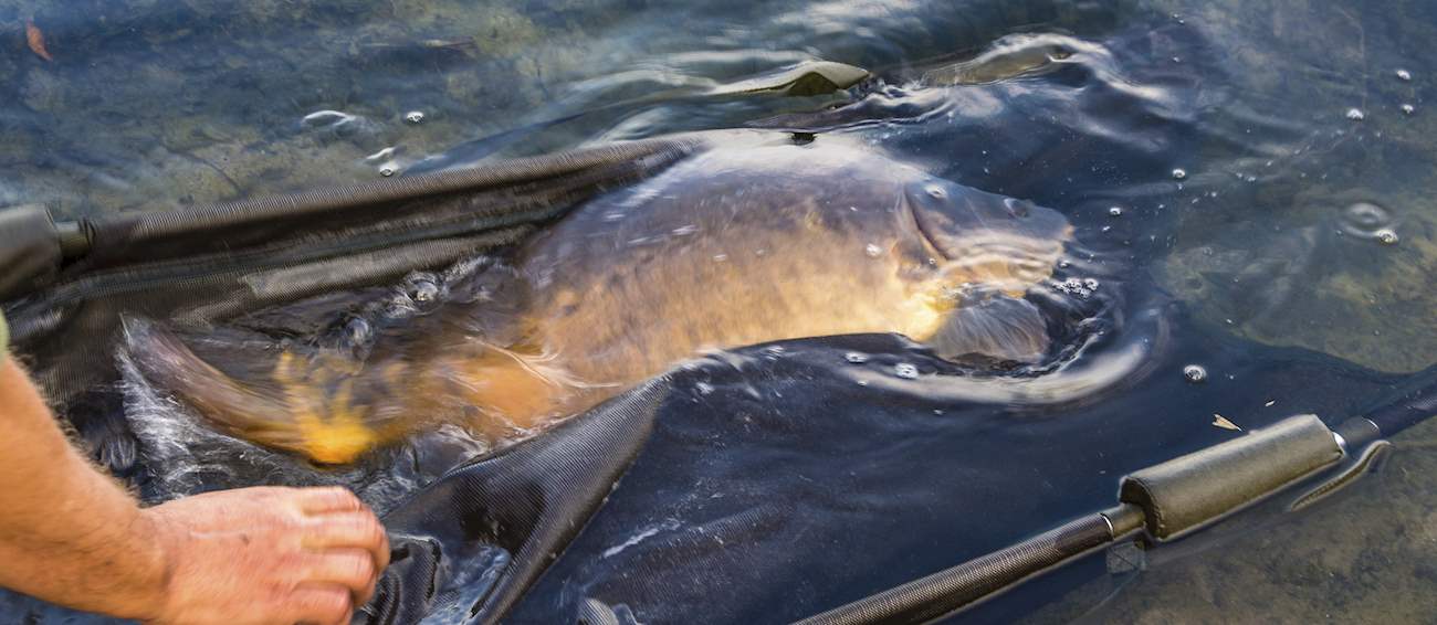 10 Most Popular German Seafoods - TasteAtlas