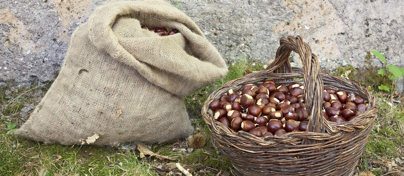 Marrone di Combai | Local Chestnuts From Province of Treviso, Italy