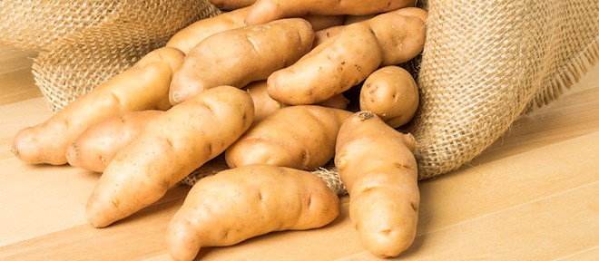 European Potatoes: 42 Potato Types in Europe | TasteAtlas