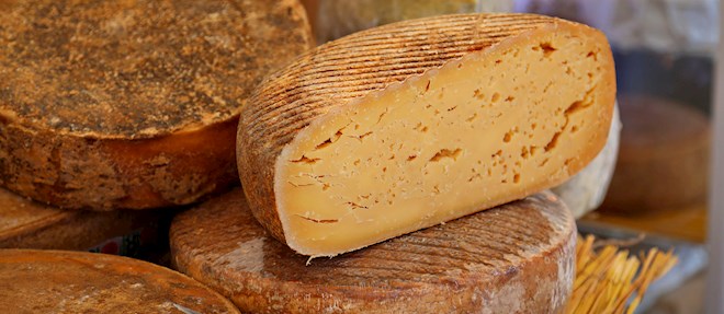 Western European Mixed Milk Cheeses: 46 Mixed Milk Cheese Types in ...