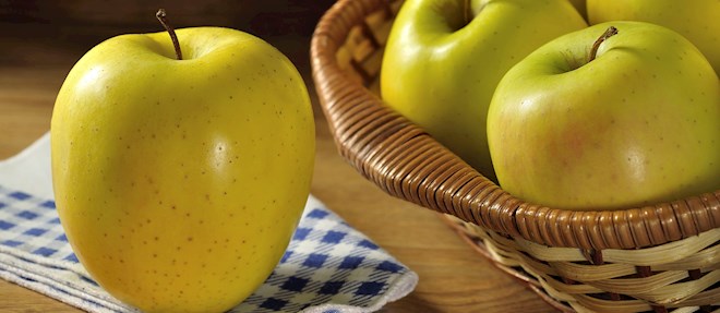 Portuguese Apples: 6 Apple Types in Portugal | TasteAtlas