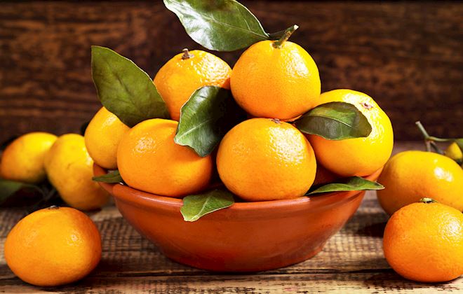 European Fruits (types and products): 148 Fruits (types and products ...