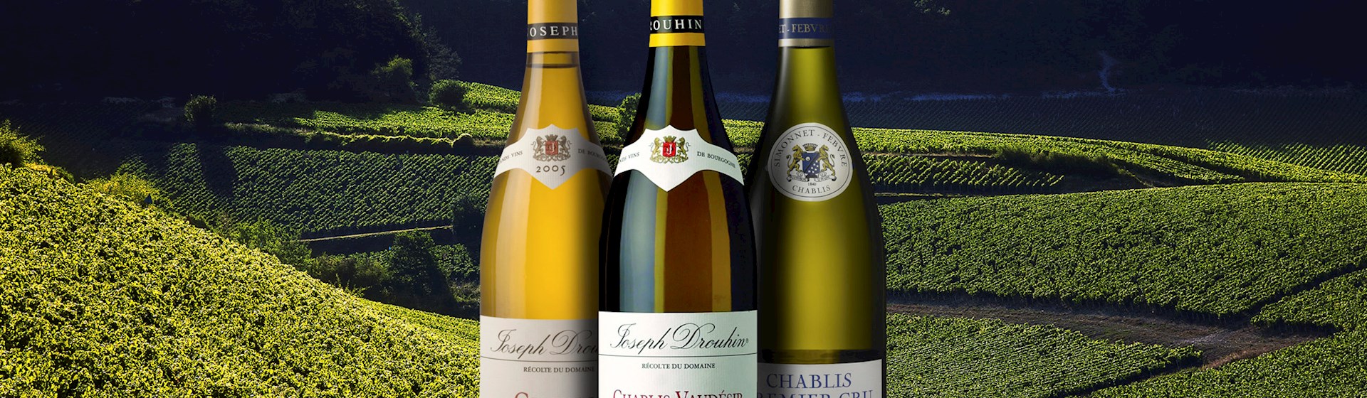 56 Best Wines in Burgundy - TasteAtlas