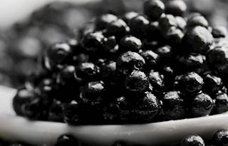 Sevruga Caviar | Local Fish Roe From Russia | TasteAtlas
