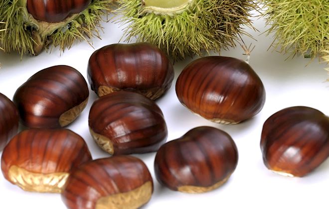 Chestnuts of the World: 20 Chestnuts Types | TasteAtlas