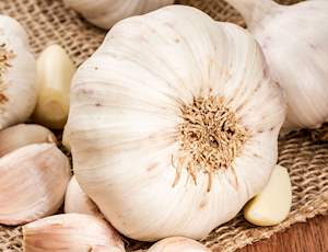 World Garlic Map | 9 World Garlic | TasteAtlas