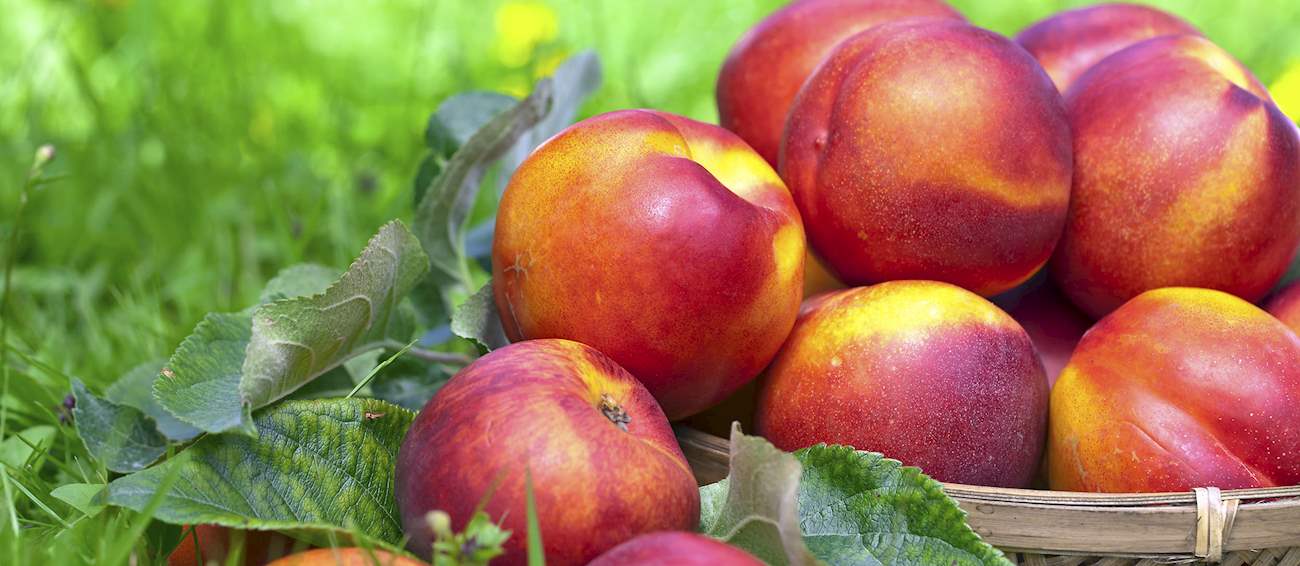 6 Best Peaches in Western Europe - TasteAtlas