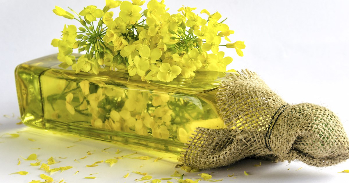 Broighter Gold Rapeseed Oil | Local Canola Oil From Limavady, Northern ...