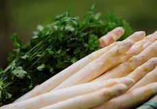 Stalk Vegetables of the World: 23 Stalk Vegetable Types | TasteAtlas