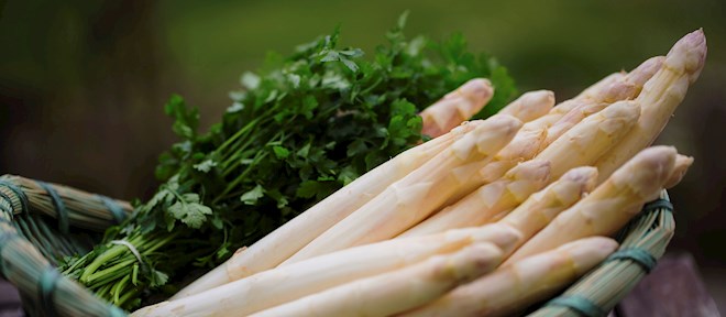 Stalk Vegetables of the World: 23 Stalk Vegetable Types | TasteAtlas