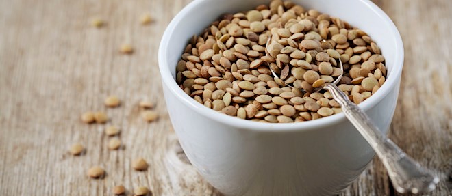 Green Lentils of the World: 5 Green Lentils Types | TasteAtlas