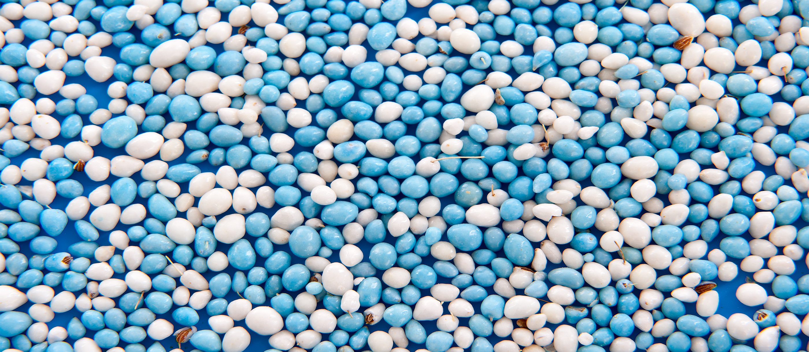 3 Best Rated Dutch Confectioneries - TasteAtlas