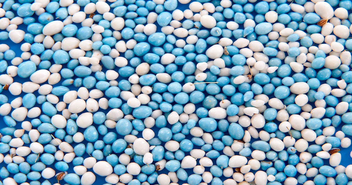 Top 28 Dragées in the World - TasteAtlas