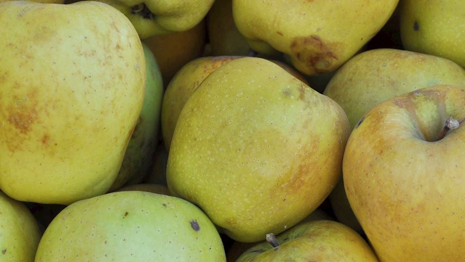 4 Best Apples in Greece - TasteAtlas