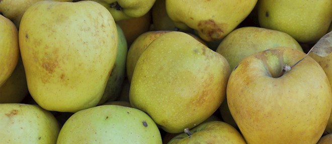 Greek Fruits: 30 Fruit Types in Greece | TasteAtlas