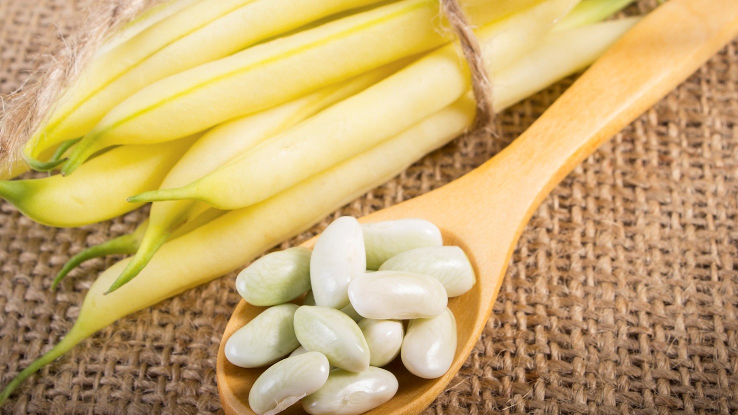 5 Best Beans in France - TasteAtlas