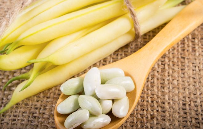 White Beans of the World: 10 White Beans Types | TasteAtlas