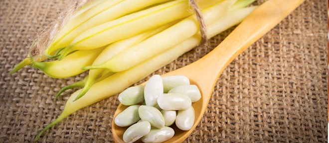 Beans of the World: 28 Beans Types | TasteAtlas