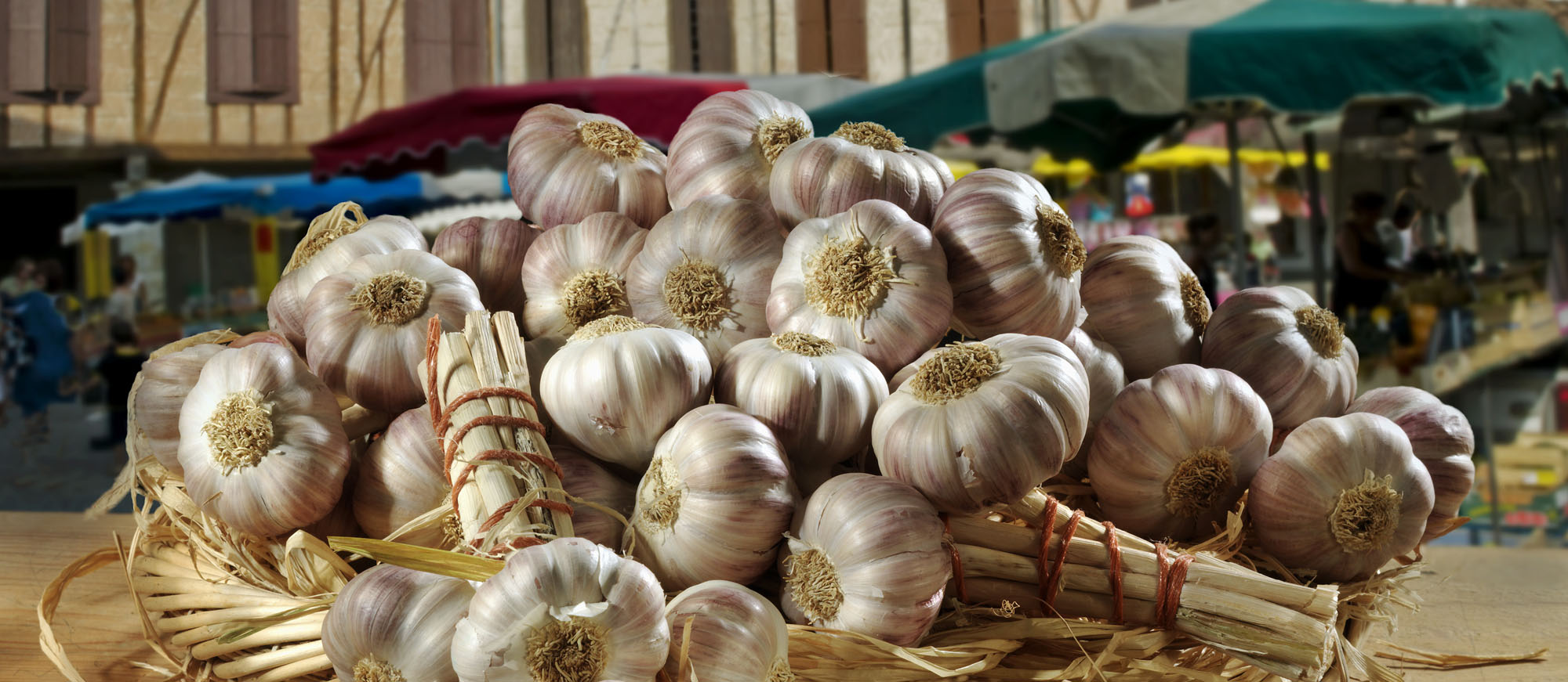 Western European Garlic: 11 Garlic Types in Western Europe | TasteAtlas