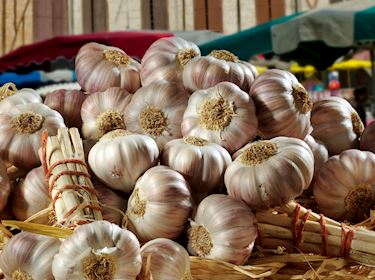 French Stereotypes Garlic