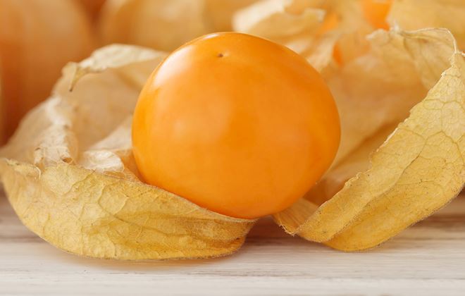 Fruits of the World: 253 Fruit Types | TasteAtlas