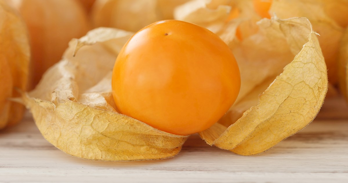 Cape Gooseberry | Local Berries From Brazil