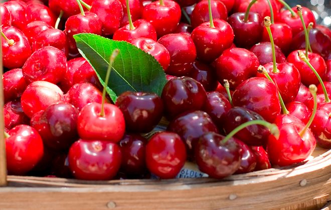 Europe: Cherry Map | 12 European Cherries | TasteAtlas