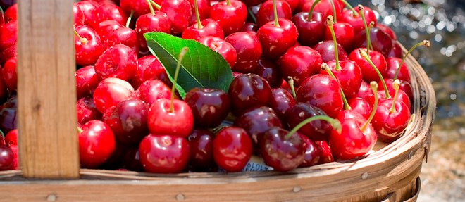 Fruits of the World: 501 Fruit Types | TasteAtlas