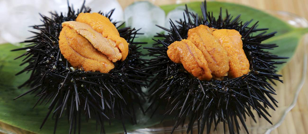 Uni | Local Seafood From Hokkaido Region, Japan
