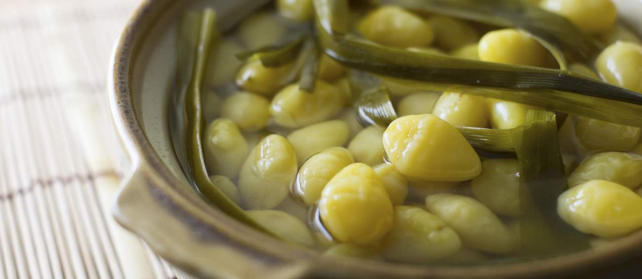 Ginnan | Local Seeds From Japan