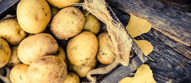 Italian Vegetables: 76 Vegetable Types in Italy | TasteAtlas