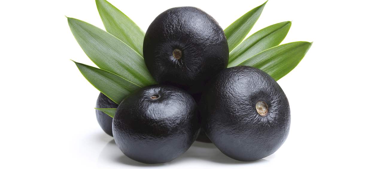 Açaí Berries | Local Berries From Brazil