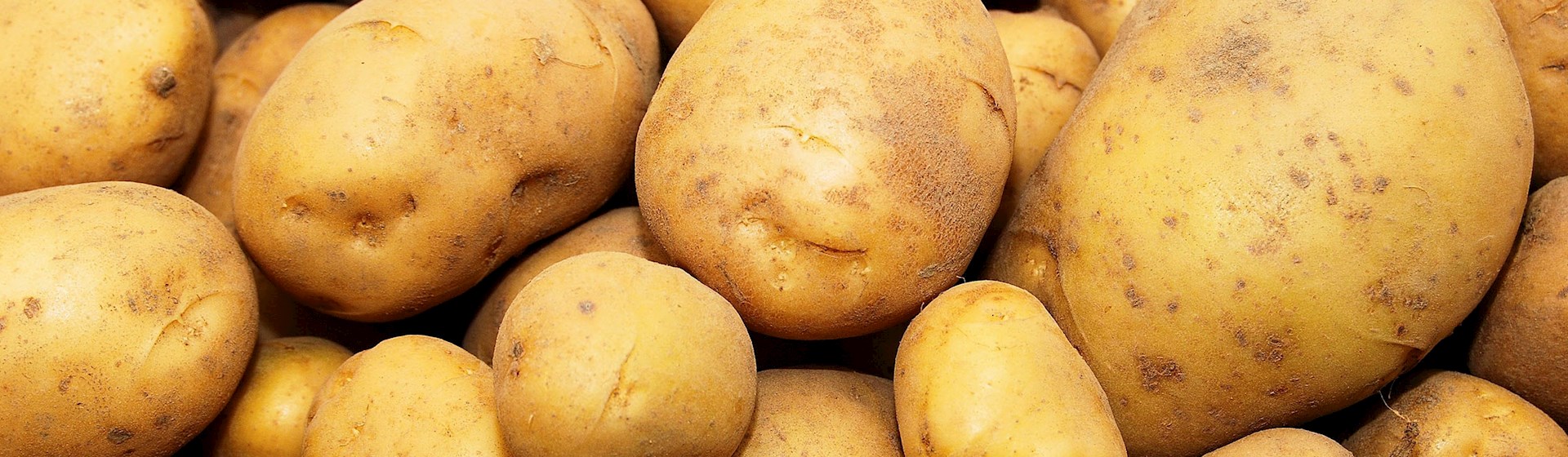 12 Worst Rated Spanish Vegetables - TasteAtlas